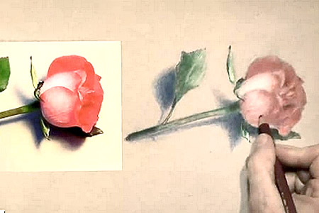 Drawing with Realism: Rose Part 1 - SchoolhouseTeachers.com