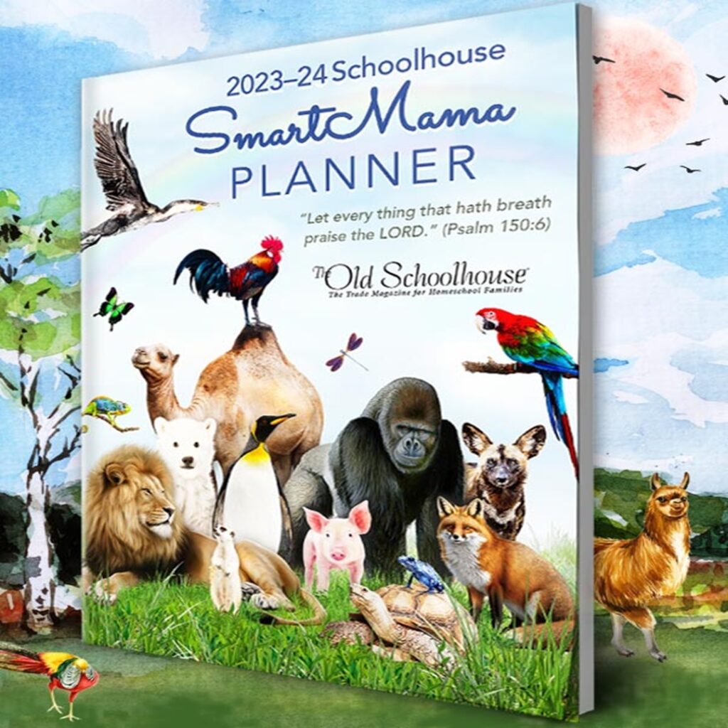 Member Dashboard - Test Page - SchoolhouseTeachers.com