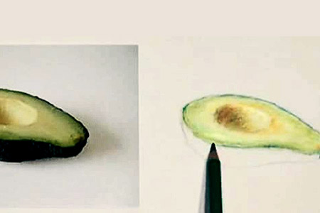 Drawing with Realism: Avocado Part 1 - SchoolhouseTeachers.com