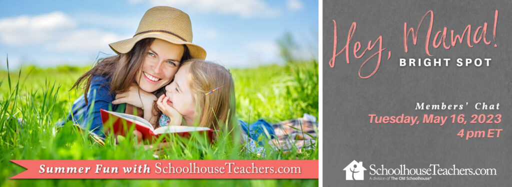 Member Dashboard - Test Page - SchoolhouseTeachers.com