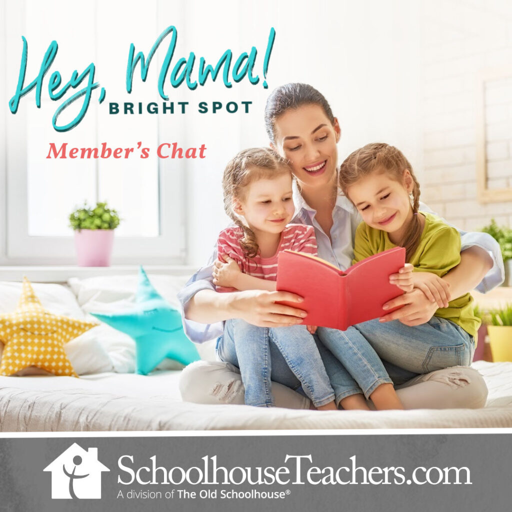 Member Dashboard - Test Page - SchoolhouseTeachers.com