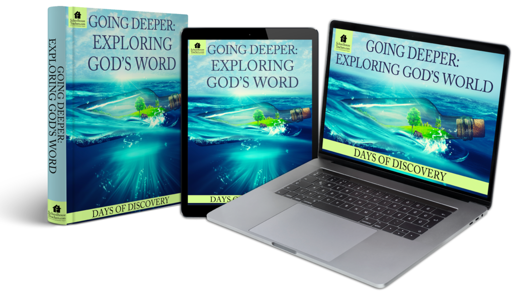 Going Deeper: Exploring God's Word - SchoolhouseTeachers.com