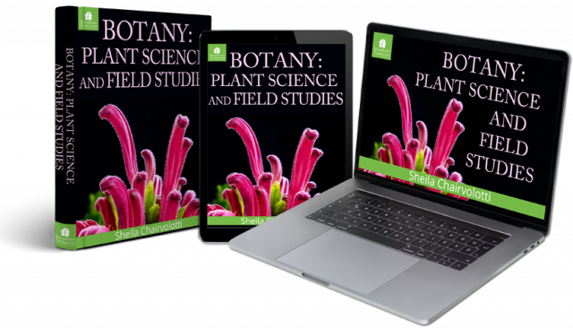 Botany: Plant Science and Field Studies - SchoolhouseTeachers.com