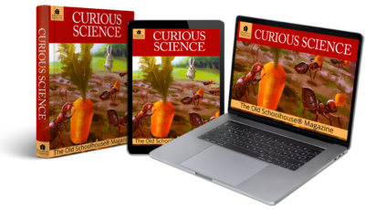 Curious Science Homeschool Course - SchoolhouseTeachers.com