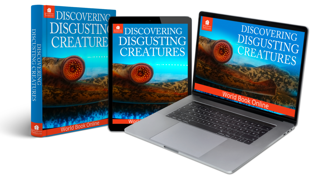 Discovering Disgusting Creatures Homeschool Science Course