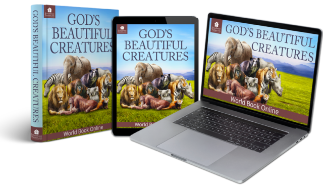 God’s Beautiful Creatures Homeschool Science Course