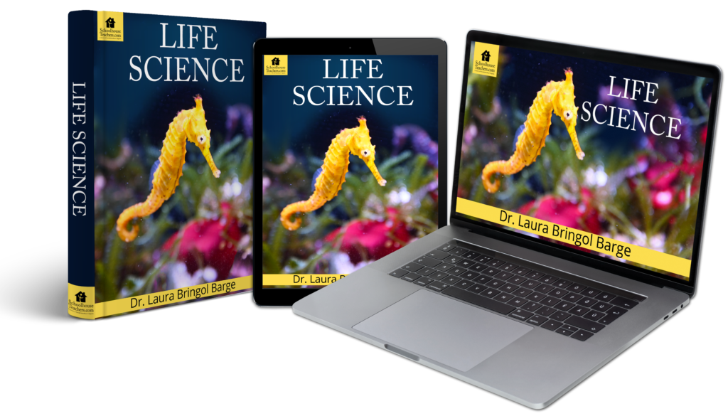 Life Science Homeschool Course - SchoolhouseTeachers.com