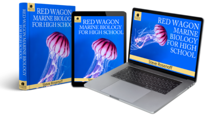 Red Wagon Marine Biology for High School Homeschool Course