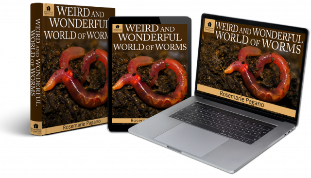 Weird and Wonderful World of Worms - SchoolhouseTeachers.com
