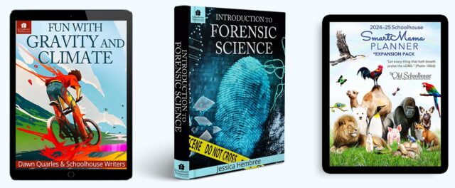 STEM Focused - SchoolhouseTeachers.com