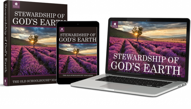 Christian Stewardship Lesson: Stewardship of God’s Earth Homeschool