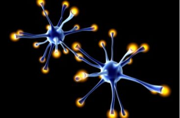 General Biology by Core Academy Lessons - SchoolhouseTeachers.com