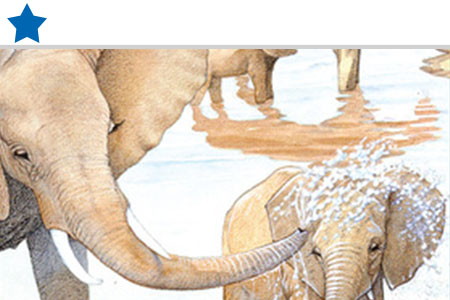 Science for Homeschoolers: Experiment, Engage, and Educate