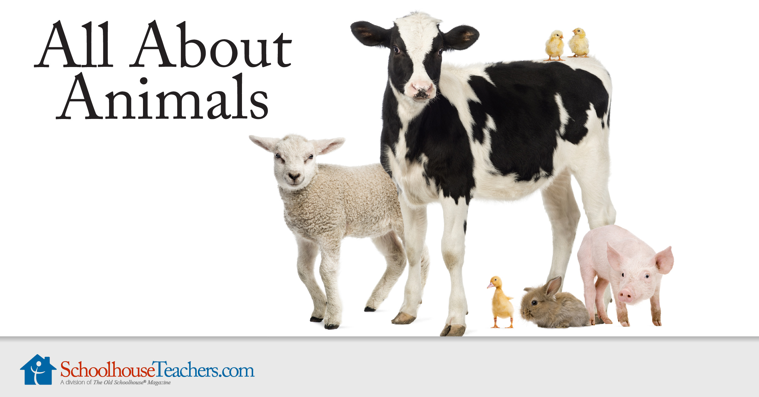 All About Animals Homeschool Science Course - SchoolhouseTeachers