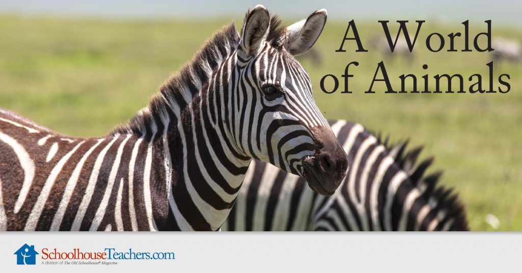 A World of Animals Homeschool Science Course - SchoolhouseTeachers