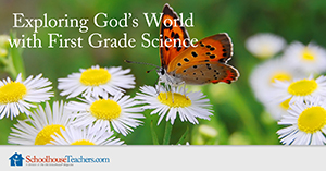 Exploring God's World with First Grade Science - SchoolhouseTeachers.com