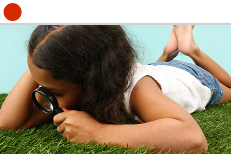 Science for Homeschoolers: Experiment, Engage, and Educate