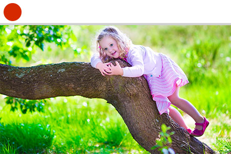 Science for Homeschoolers: Experiment, Engage, and Educate