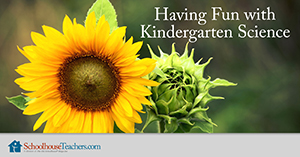 Having Fun with Kindergarten Science - SchoolhouseTeachers.com