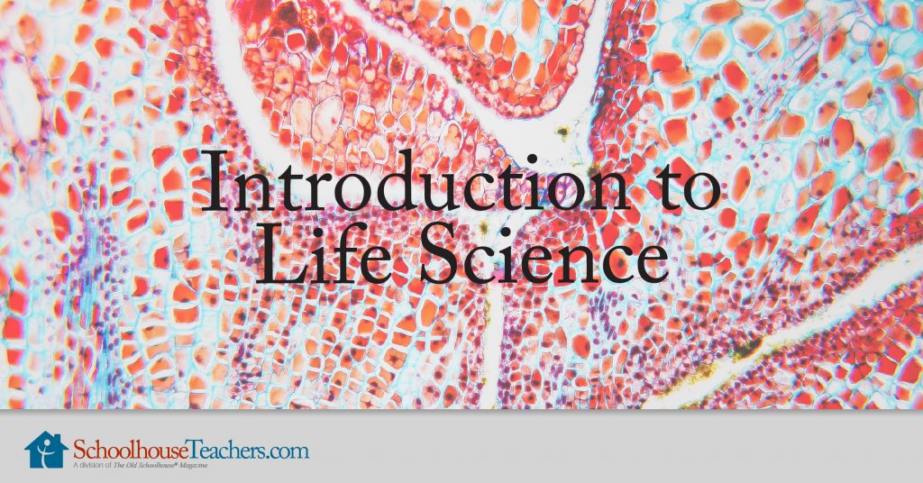 Introduction to Life Science Homeschool Course - SchoolhouseTeahers