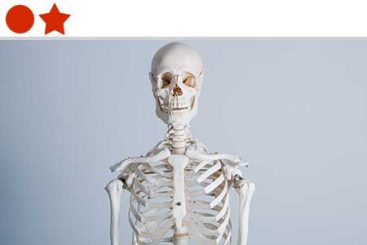 High School - Science - SchoolhouseTeachers.com